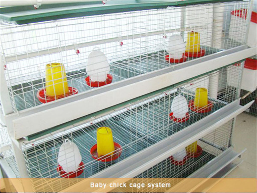 The principle of artificial lighting for laying hens